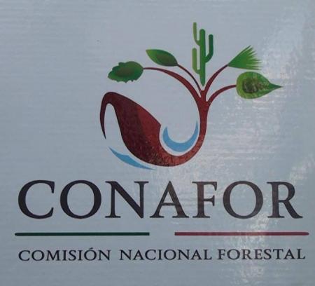 Presenta la CONAFOR nueva imagen institucional - El Sol de Nayarit