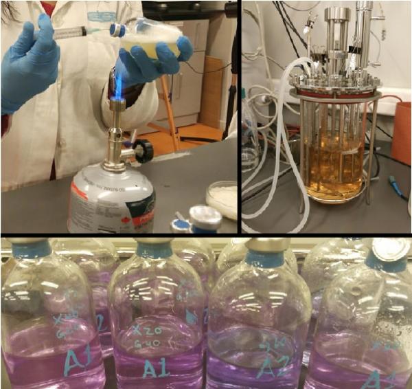 Cientificos mexicanos desarrollan proceso para convertir butanol en bio ...