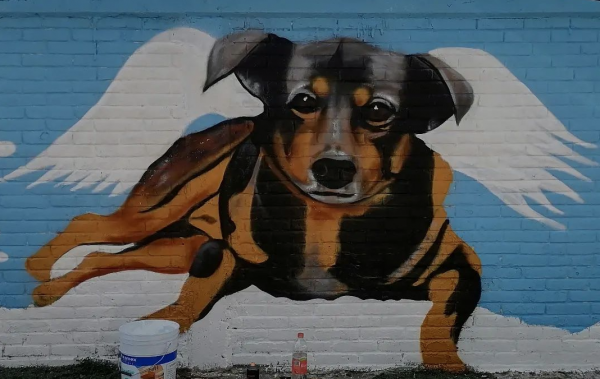 Hacen mural a perrito que fue arrojado a cazo con aceite en Edomex - El ... Hacen mural a perrito que fue arrojado a cazo con aceite en Edomex - El ...