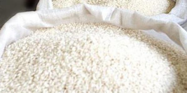 IACN advierte final de importaciones de arroz con cáscara en Nayarit ...